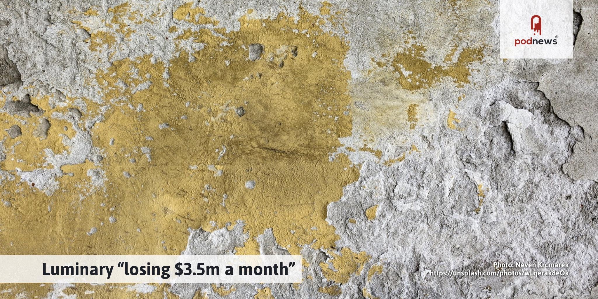 Luminary 'losing $3.5m a month'