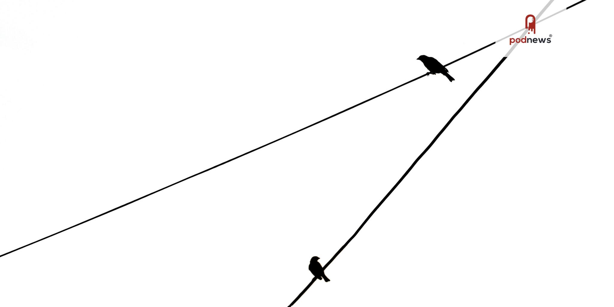 How do the podcast charts work?